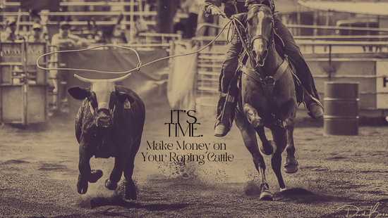 Home – Handy Horns Supply Co