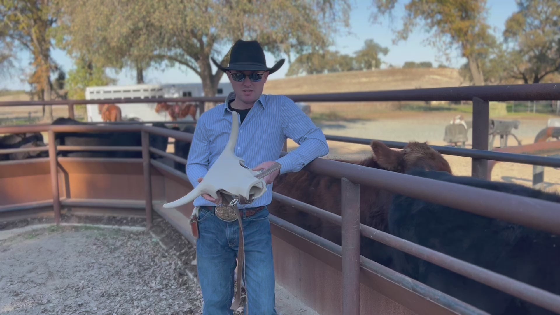 Home – Handy Horns Supply Co